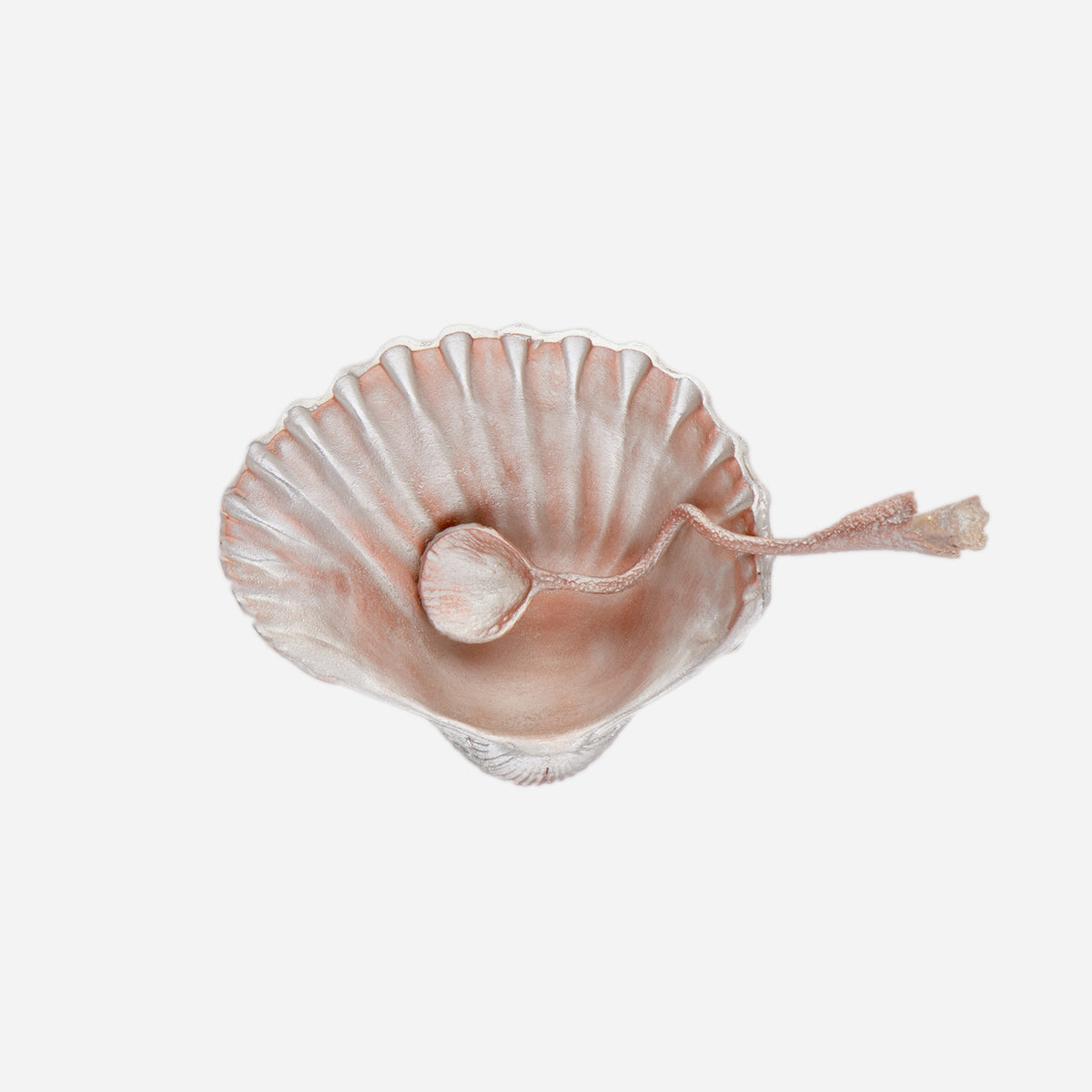 Bonadea | Shell Salt Cellar with Spoon | Bonadea